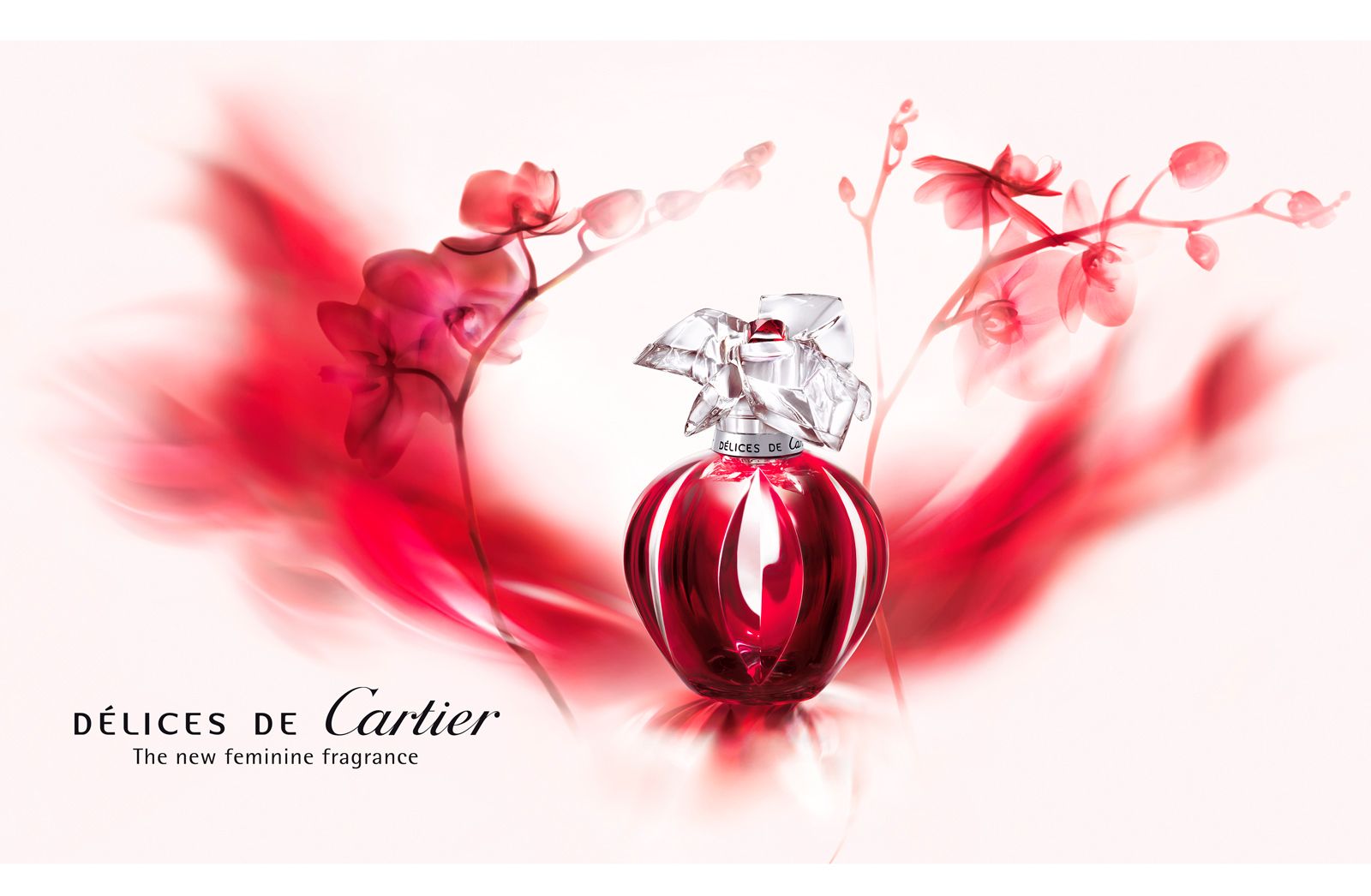 Isabelle Bonjean Fragrance – EYEMADE