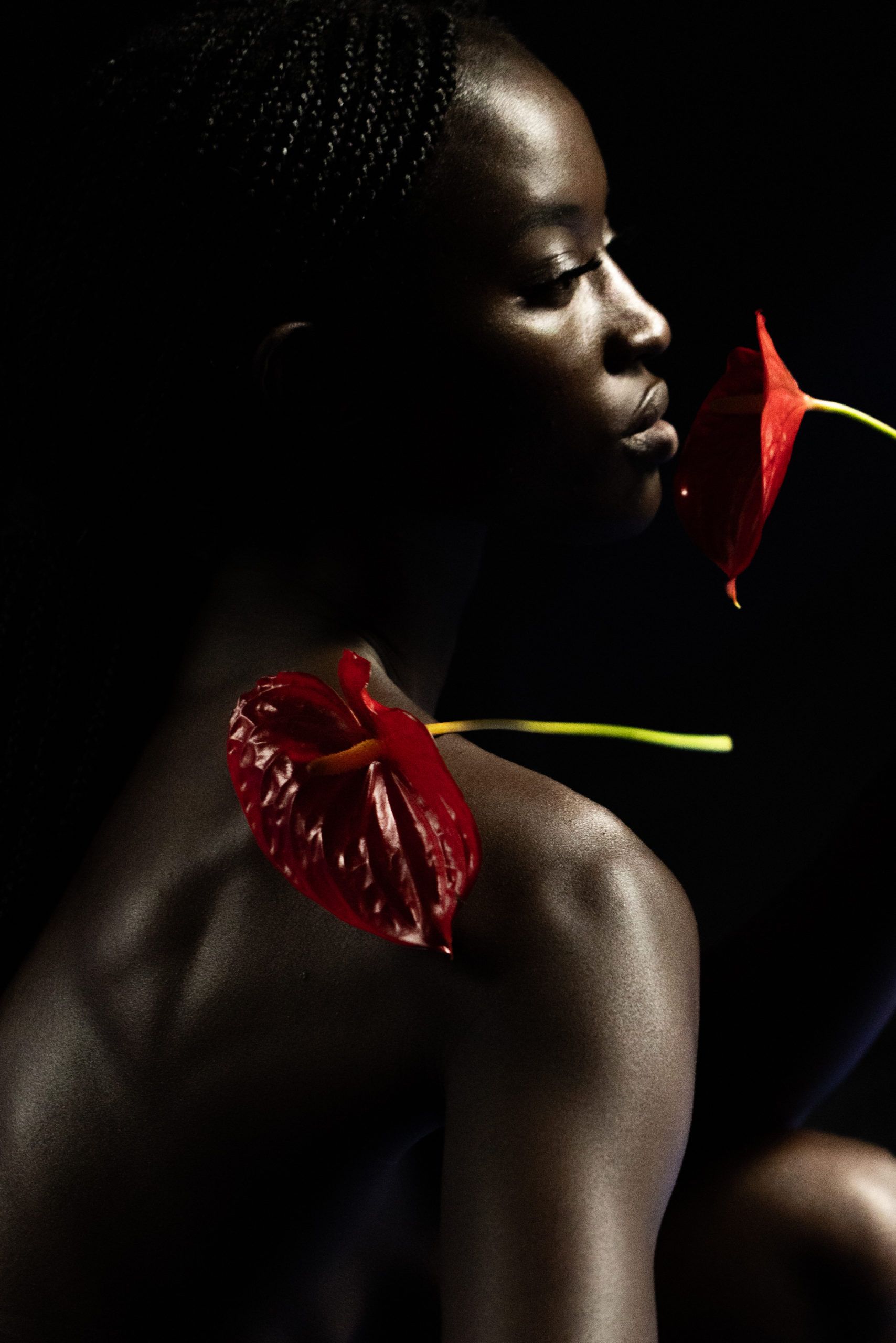 Laurent Castellani – EYEMADE