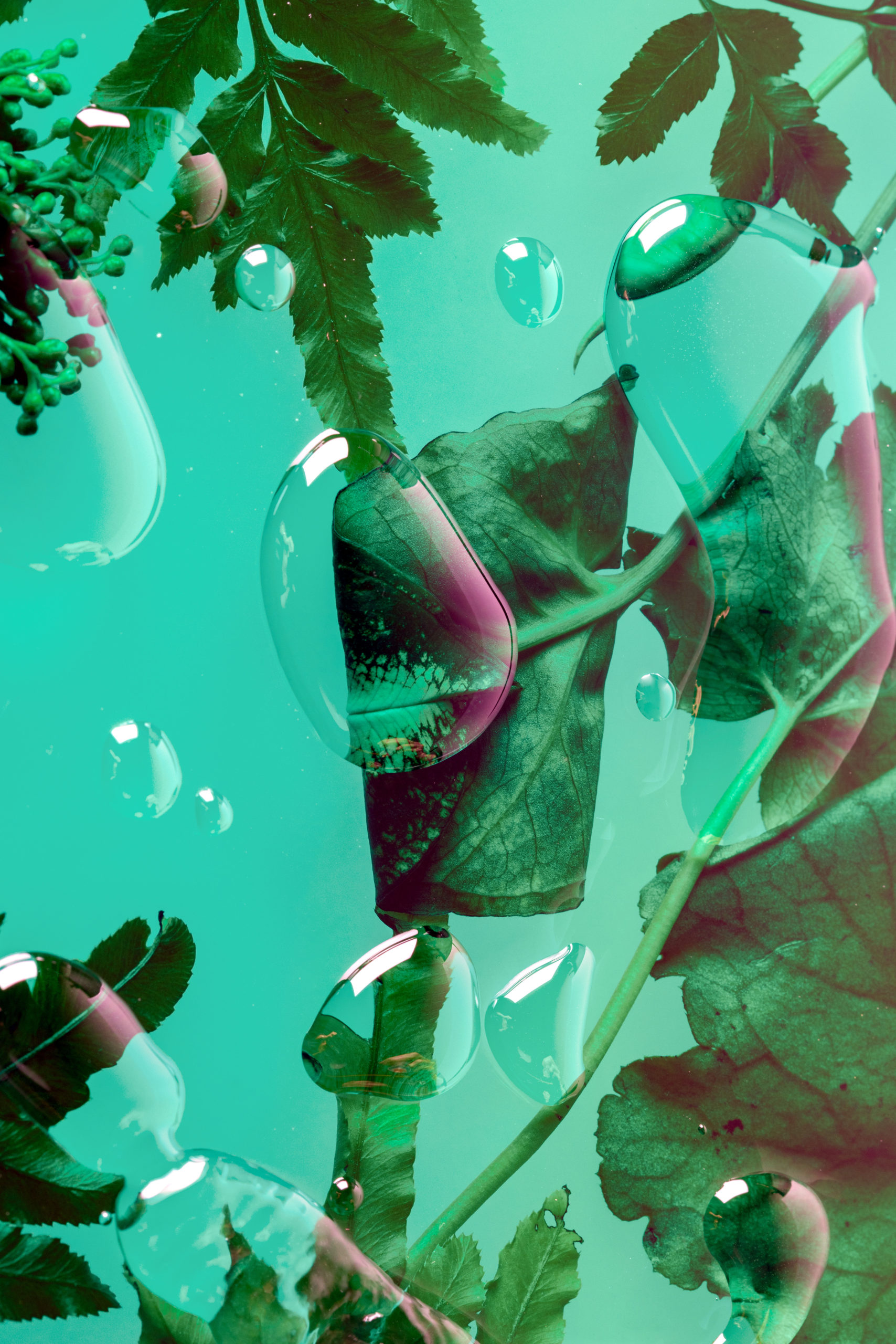 EYEMADE – Eyemade represents Charles Fréger, Karel Balas, Benjamin ...